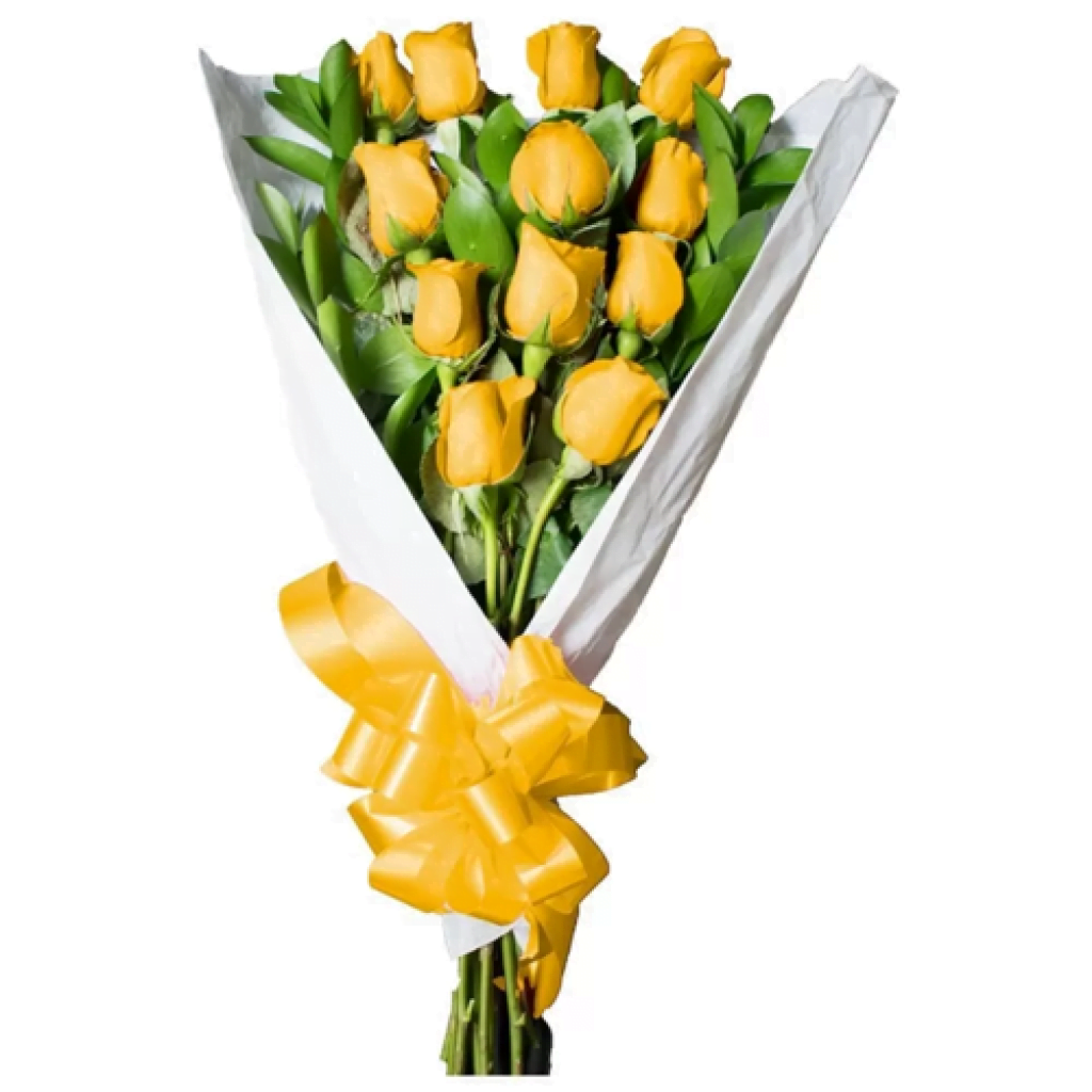 Ramo de 12 Rosas - Solo Rosas y Algo Más